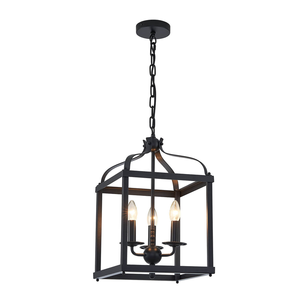 Rustic Black Iron Caged Pendant Light – MOOONI LIGHTING